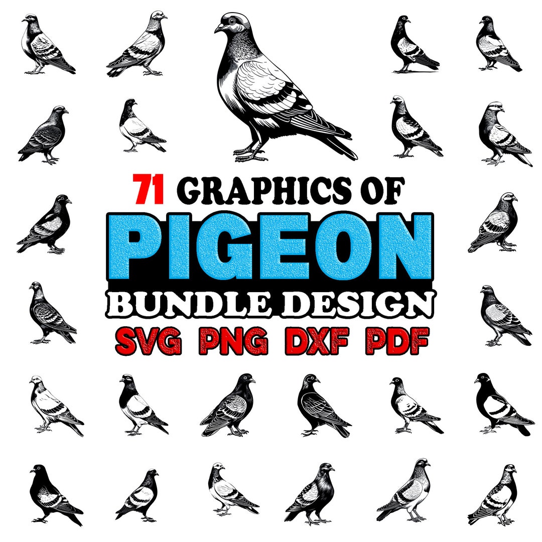 Pigeon Bundle SVG, Png, Dxf, Pdf Instant Digital Downloads - Etsy