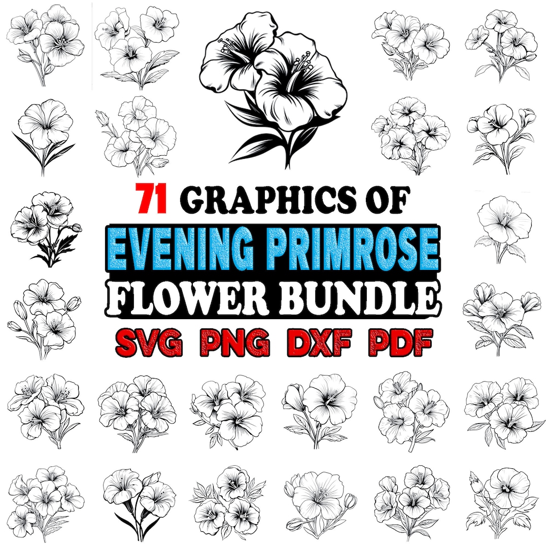 EVENING PRIMROSE Flowers Bundle SVG, Png, Dxf, Pdf - Instant Digital ...