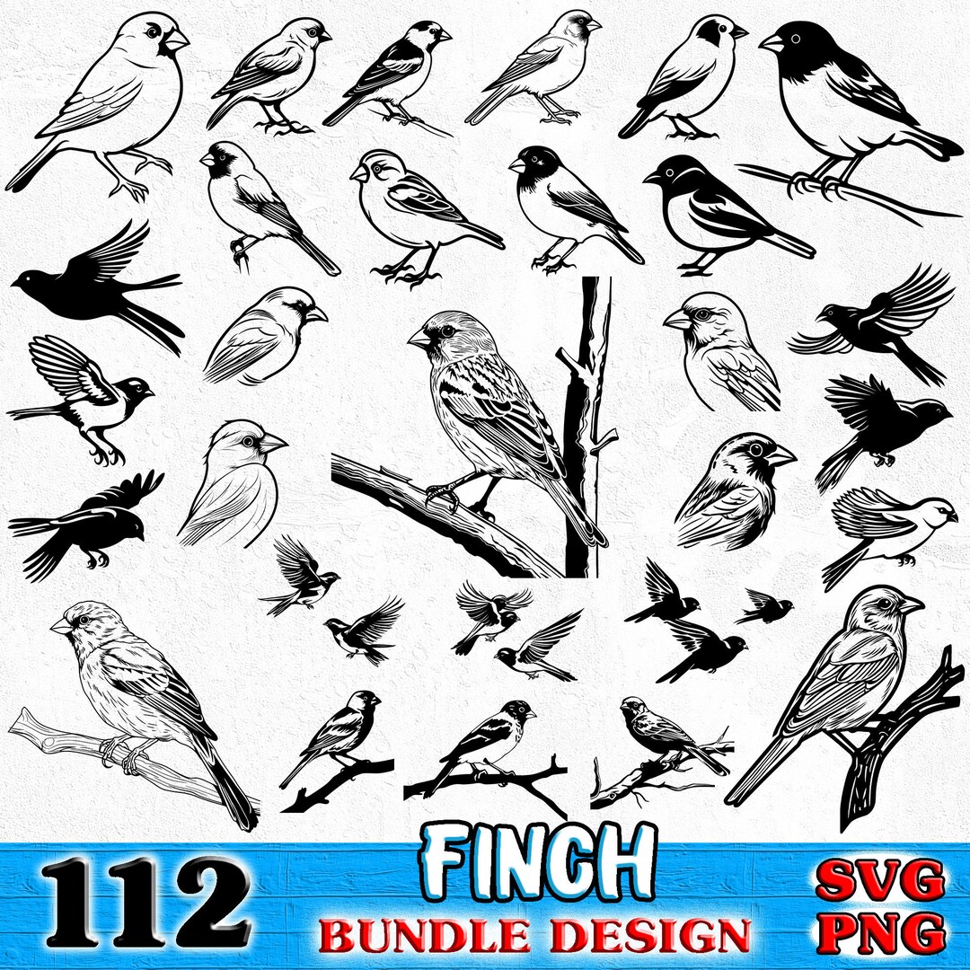 Finch, Bundle SVG, PNG Instant Digital Downloads - Etsy