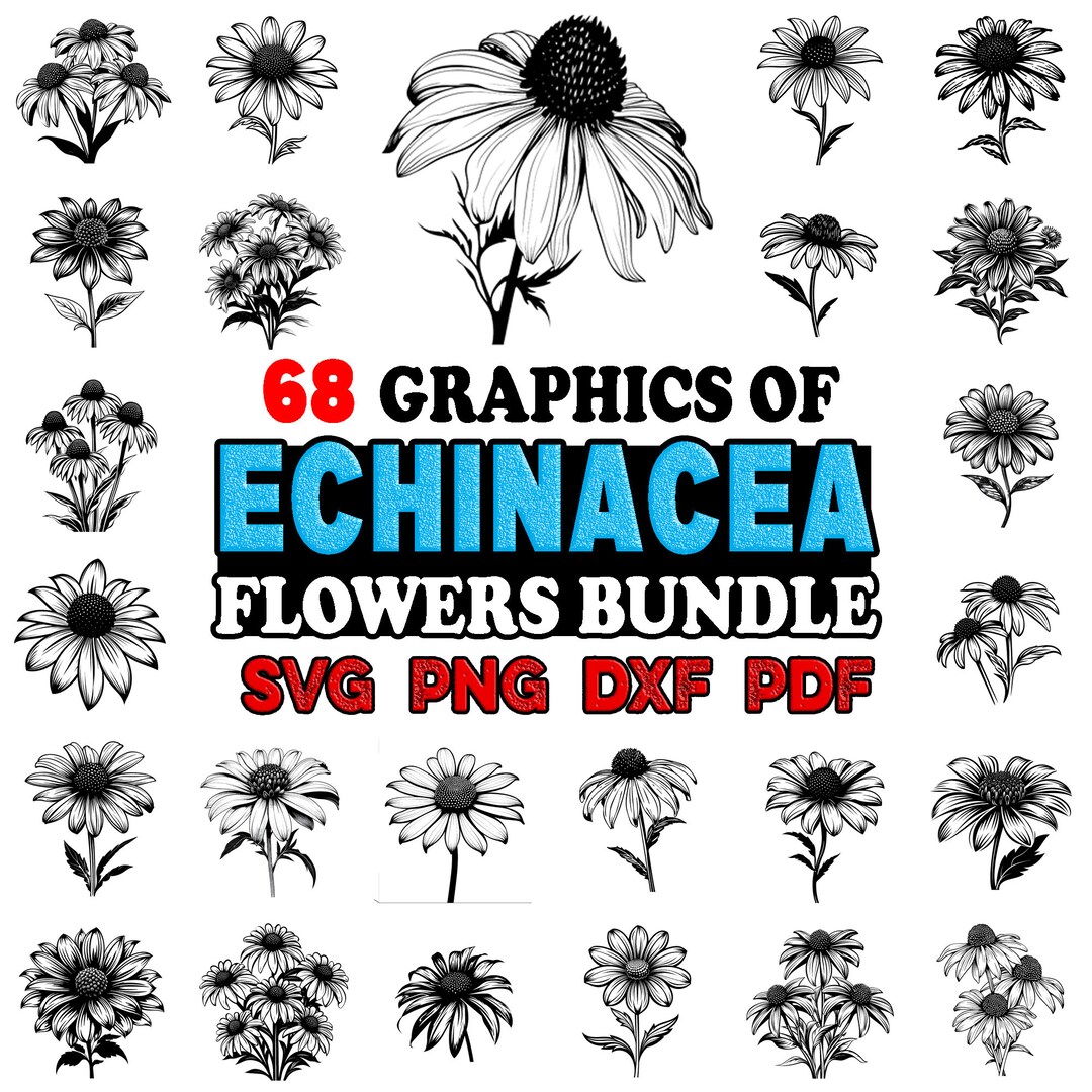 ECHINACEA Flower Bundle SVG, Png, Dxf, Pdf Instant Digital Downloads ...