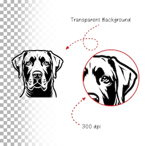 Laser Cut Files 619 Dog Heads Creative Artwork Complete Breeds - SVG ...