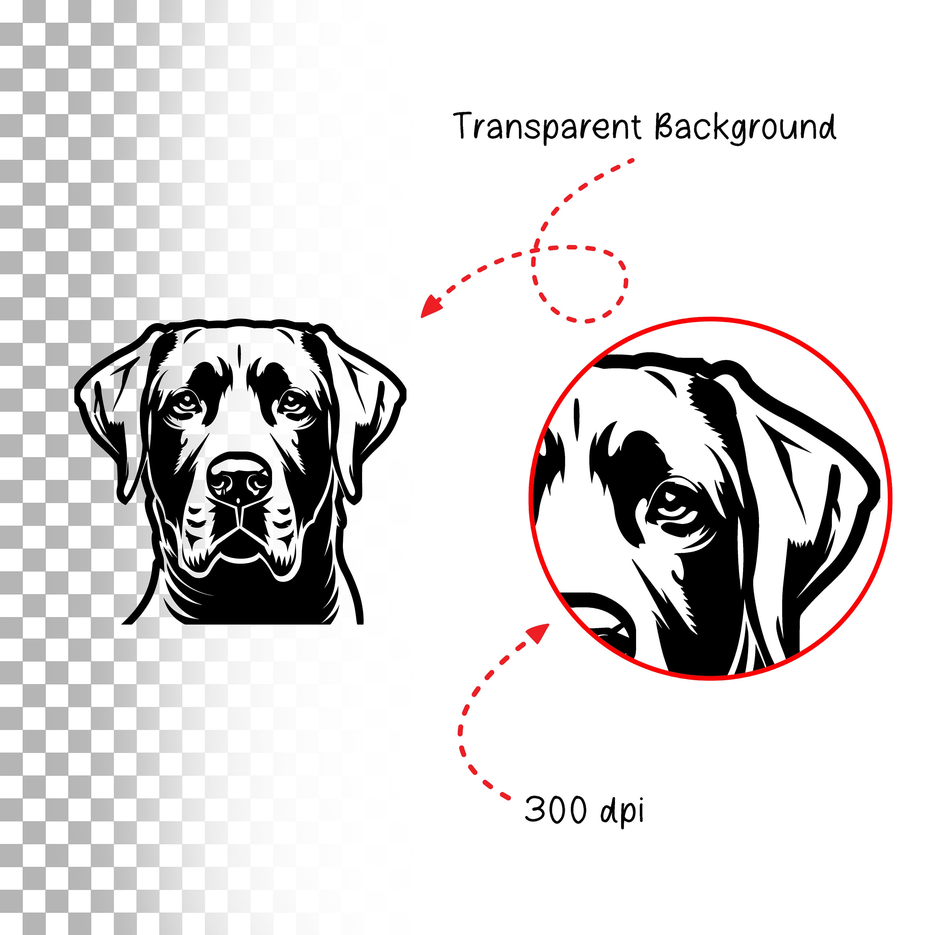 Laser Cut Files 619 Dog Heads Creative Artwork Complete Breeds - SVG ...