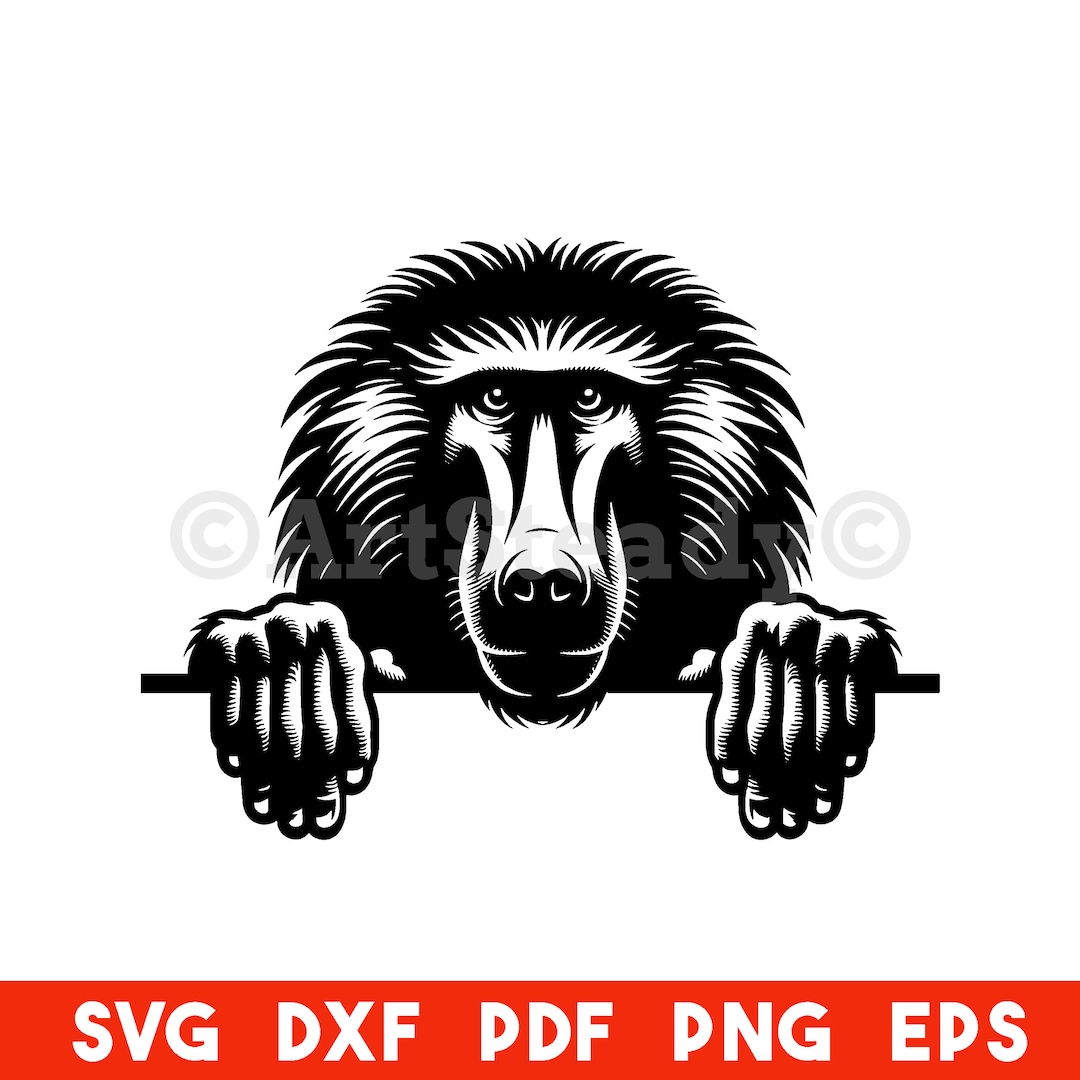 Safari Animals Svg, Png, Pdf, Dxf, Eps Baboon in a Peeking Pose Cute ...