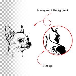 Dog Heads Side View Line Art Complete Breeds Svg and PNG Bundle ...