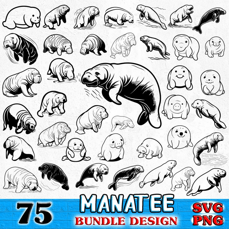 Manatee Svg - Etsy