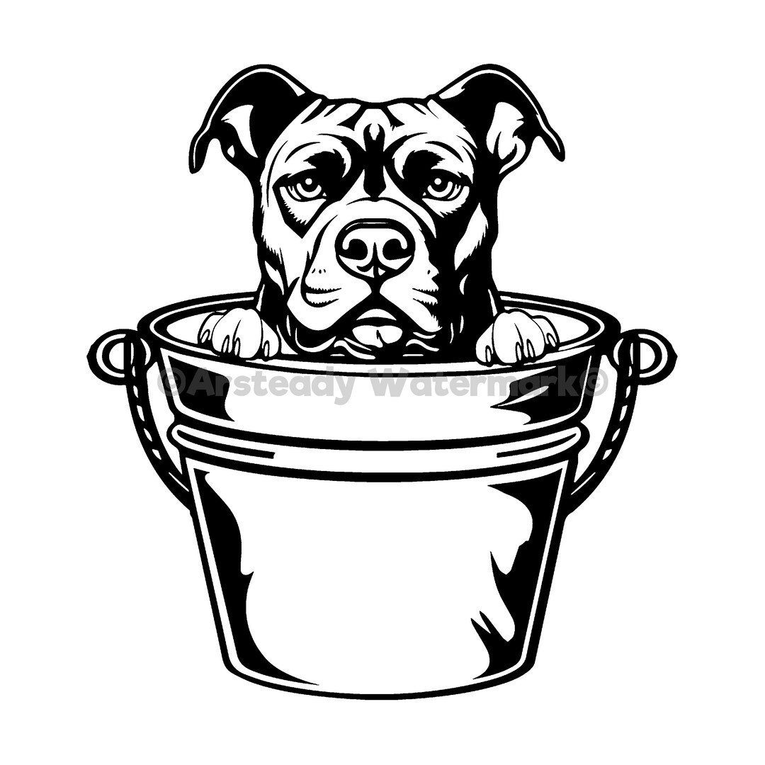 Pitbull Peeking Dog in Bucket SVG, PNG , DXF and Pdf Dog or Puppy Pet ...