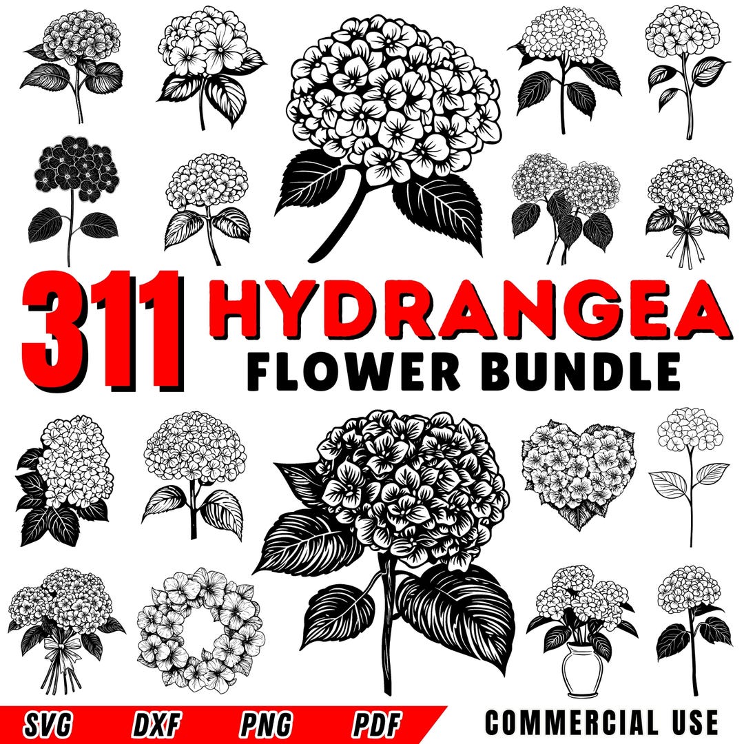 Hydrangea Flower SVG Bundle | Floral Cut Files for Cricut | Hydrangea ...