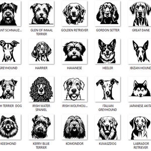 Dog Breeds Faces SVG Bundle Laser Cut Engraving CNC Files ( Instant ...