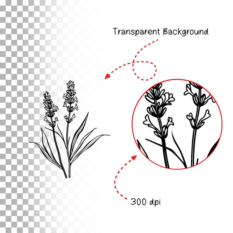 Lavender Flower DXF Bundle | Floral Laser Cut Files | Lavender Vector ...