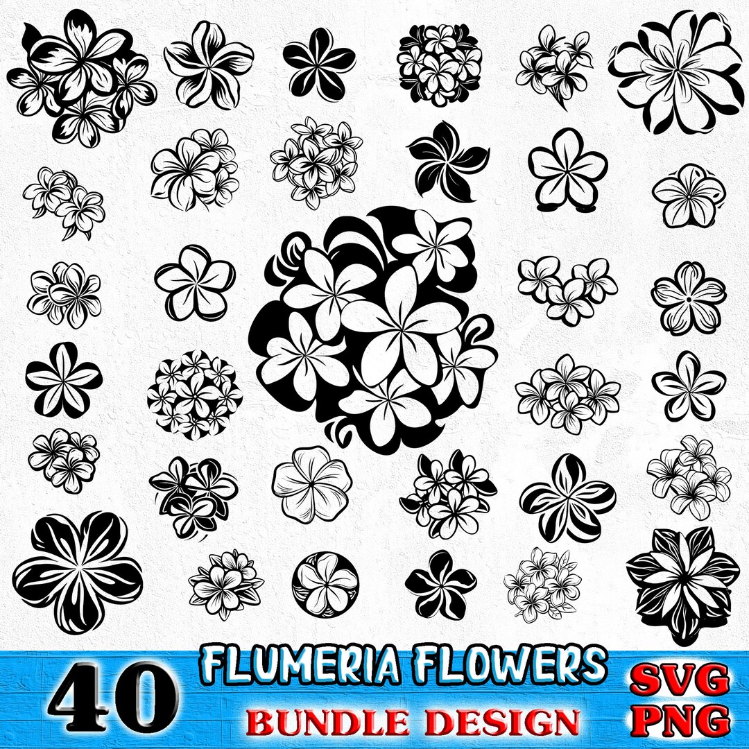 Plumeria Bundle SVG PNG Instant Digital Downloads - Etsy
