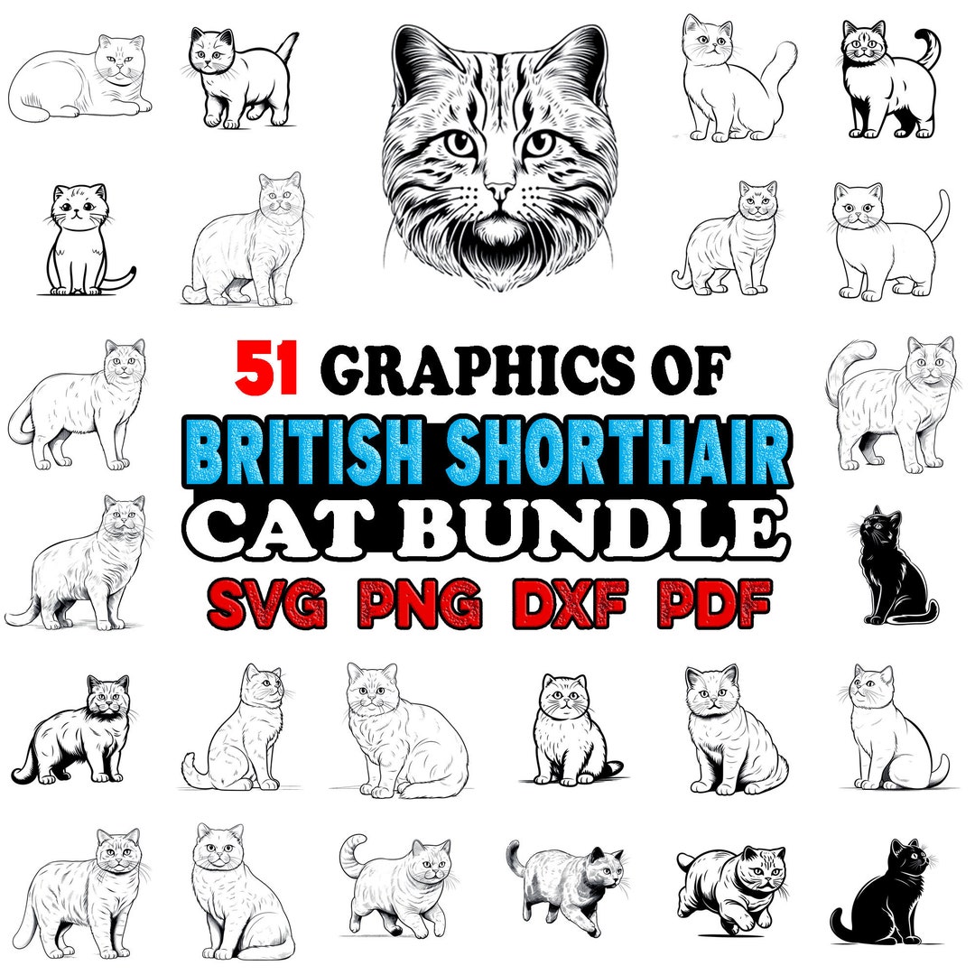 British Shorthair Cat Bundle SVG, Png, Dxf, Pdf Instant Digital ...