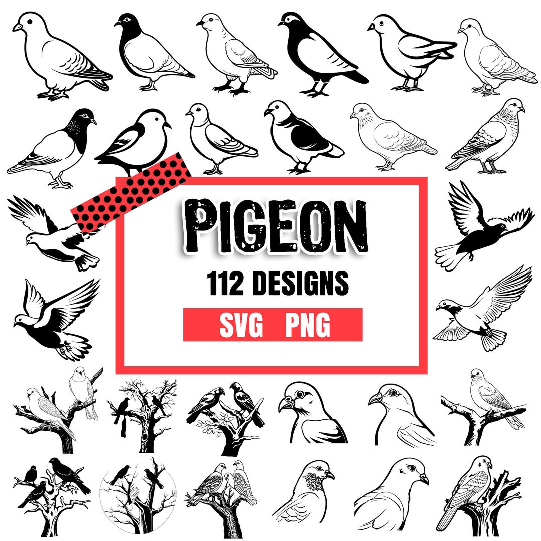 Pigeon, Bundle SVG, PNG Instant Digital Downloads - Etsy