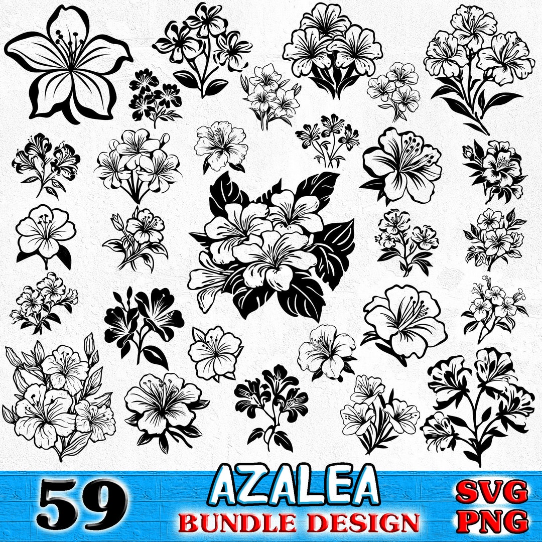 Azalea Flowers Bundle SVG, PNG Instant Digital Downloads - Etsy