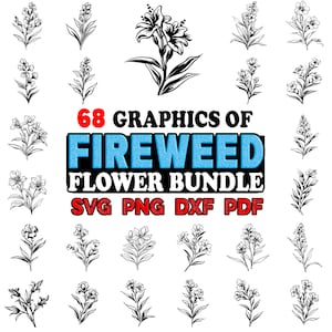 Fireweed Flowers Bundle SVG, Png, Dxf, Pdf - Instant Digital Downloads ...