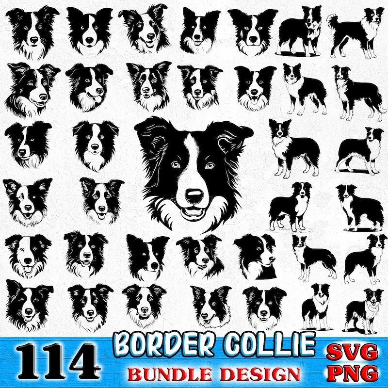 Boarder Collie Art Print - Etsy