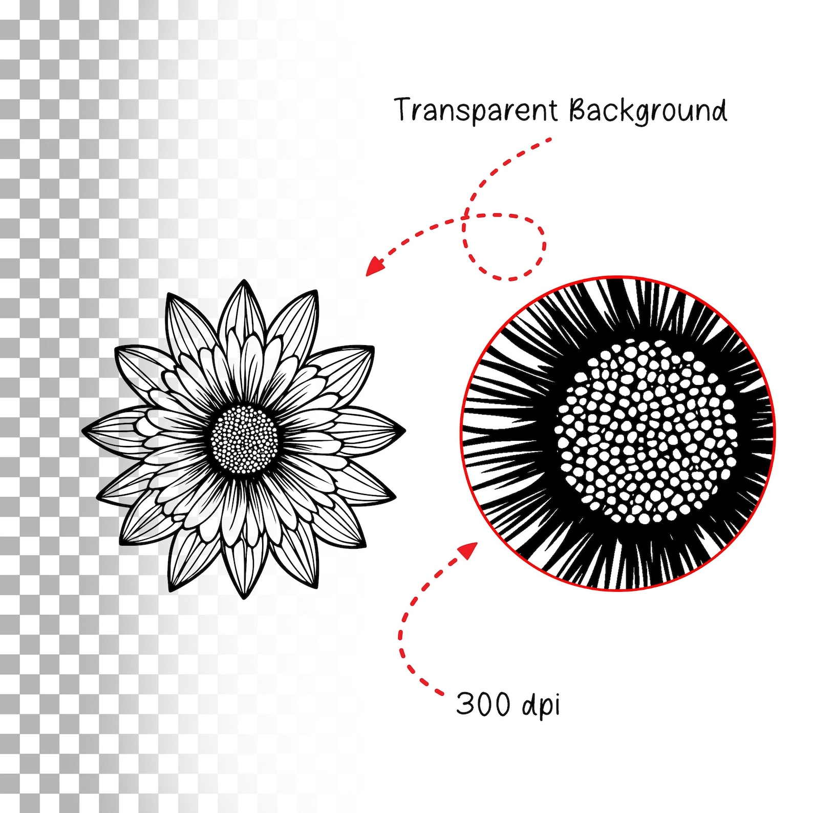 Daisy Flower Laser Cut Files | Daisy SVG Bundle for Laser Cutting ...