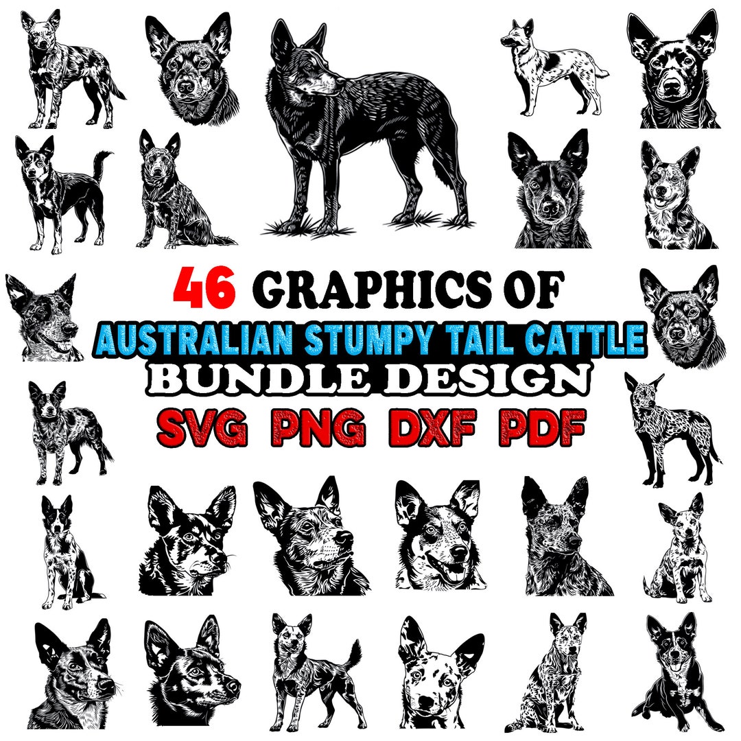 Australian Stumpy Tail Cattle Bundle SVG, Png, Dxf, Pdf Instant Digital ...