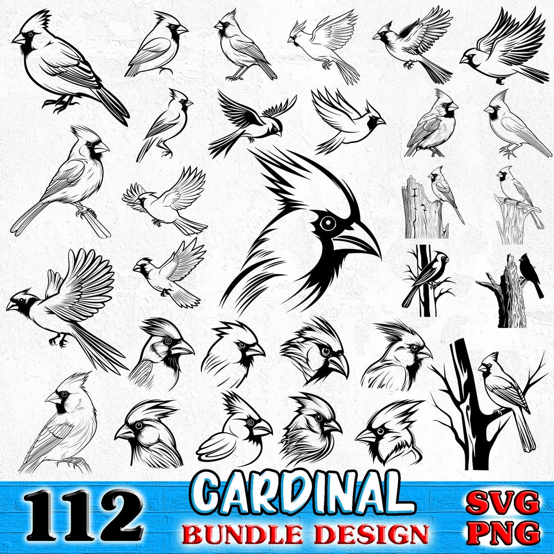 Cardinal, Bundle SVG, PNG Instant Digital Downloads - Etsy