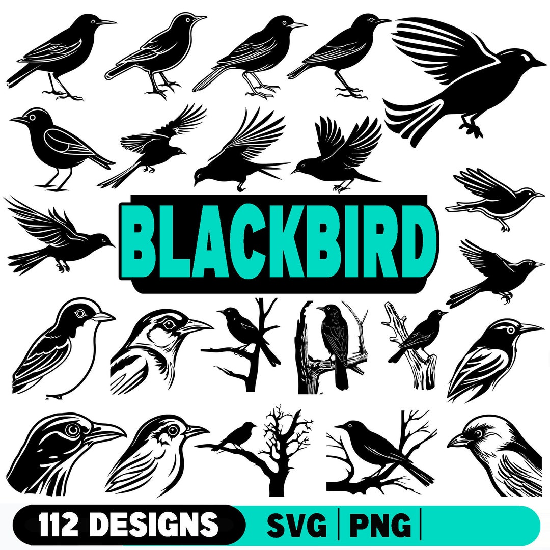Blackbird, Bundle SVG, PNG Instant Digital Downloads - Etsy