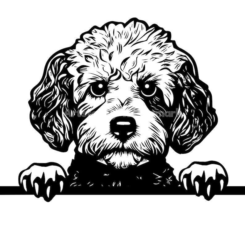 Toy Poodle Peeking Dog SVG, PNG , DXF and Pdf Dog or Puppy Pet Lover ...