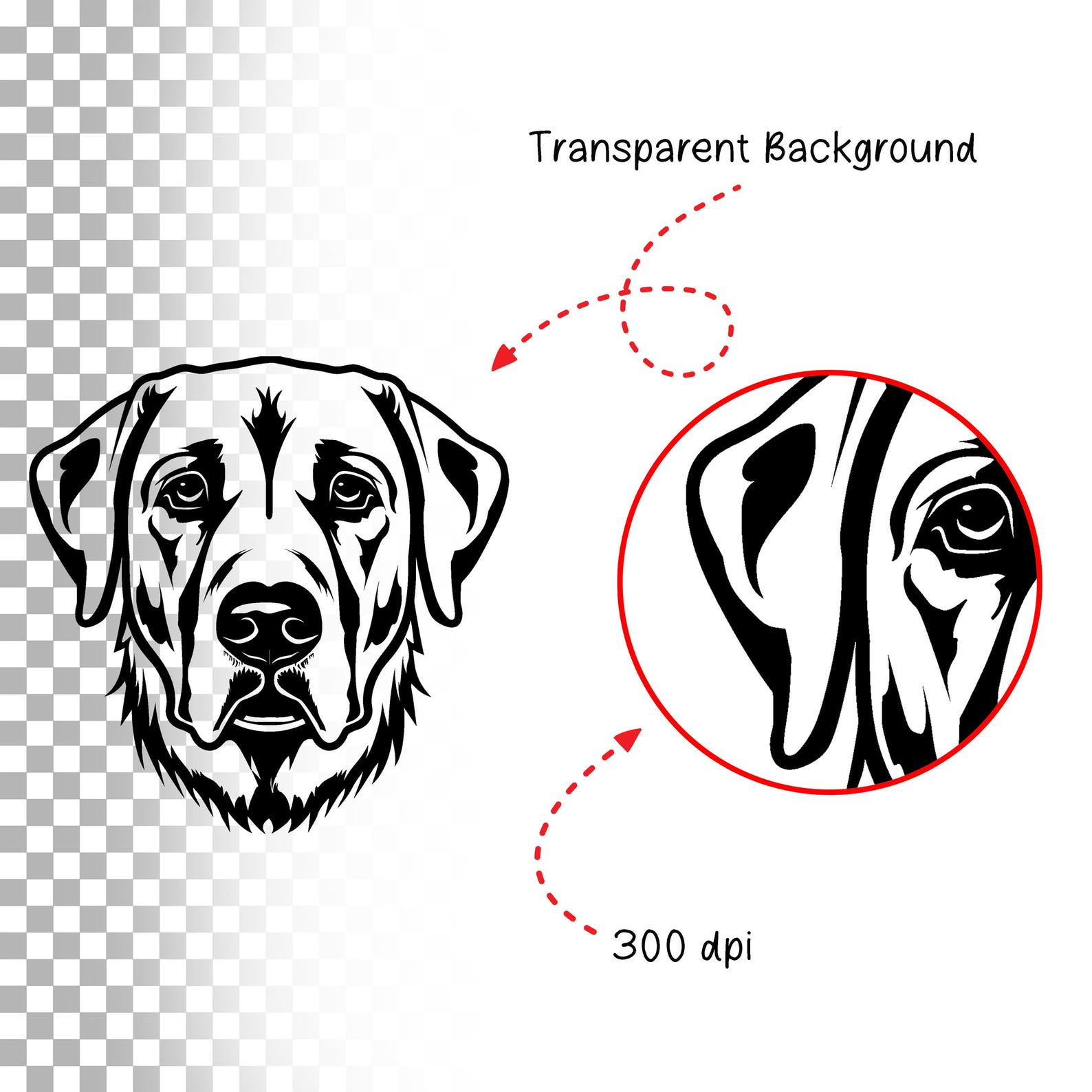 682 Dog Heads Complete Breeds of Dogs Laser Engraving Cut Files Files ...