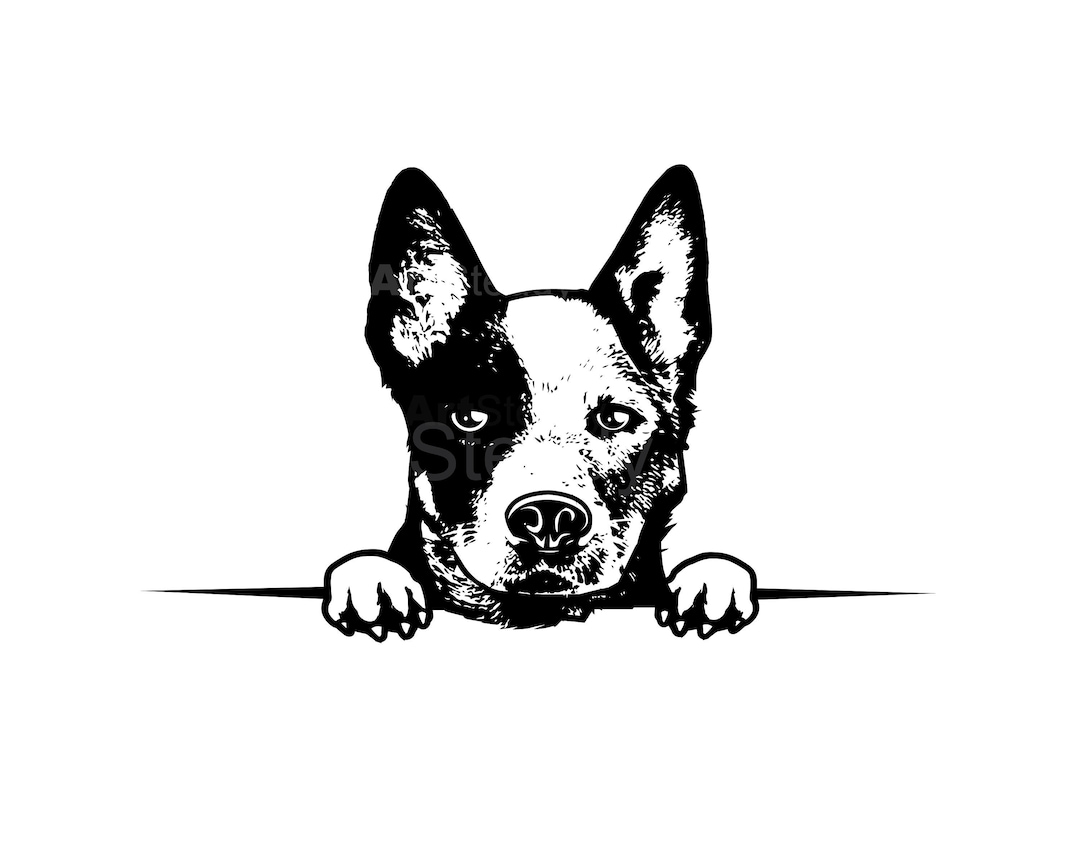 Fun Blue & Red Heeler Svg Png Pdf Dxf Bundle Peeking Aussie Cattle Dog ...