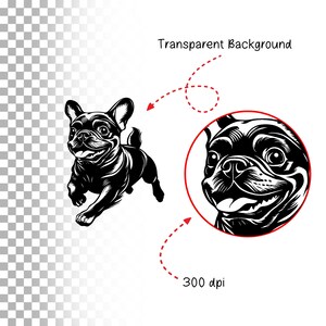 Frug Dog SVG Bundle | French Bulldog Pug Mix Cut Files | Frenchie Pug ...