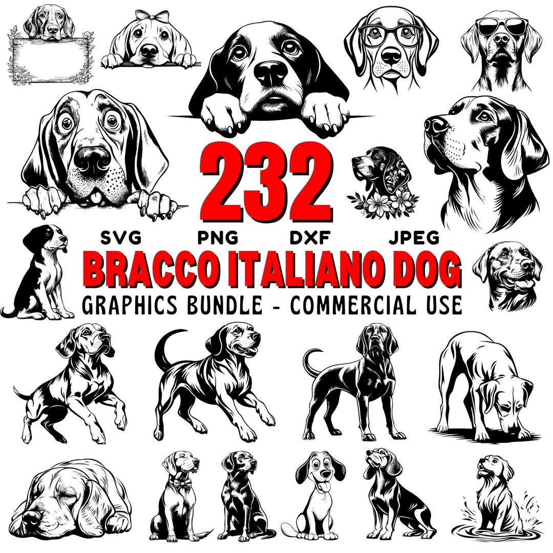 Bracco Italiano Dog Svg Dxf Png Jpeg Bundle Instant Digital Downloads ...