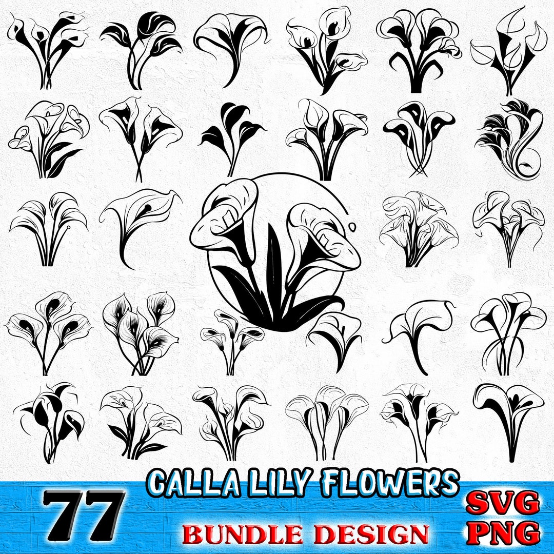 Calla Lily Flowers Bundle SVG, PNG Instant Digital Downloads - Etsy