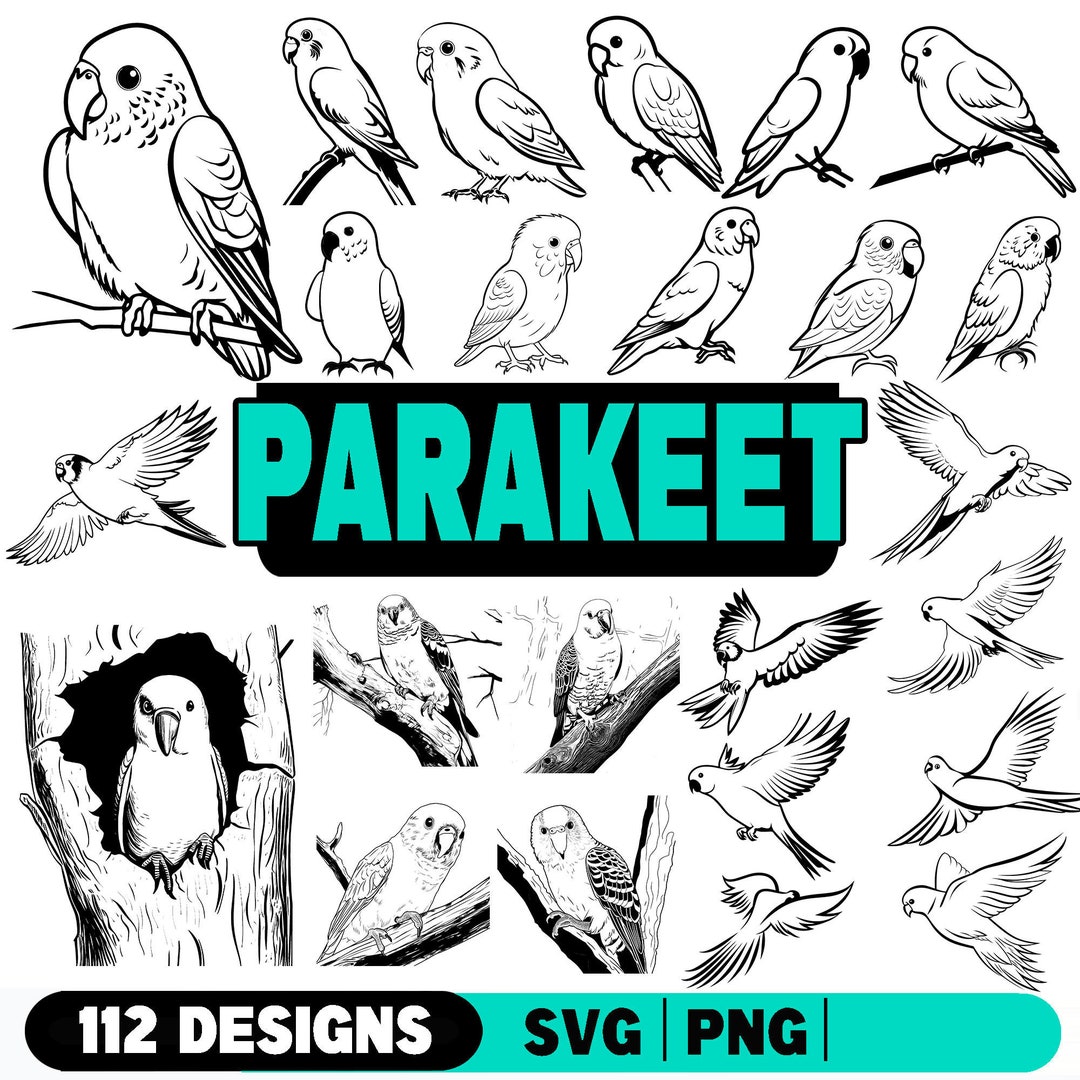 Parakeet, Bundle SVG, PNG Instant Digital Downloads - Etsy