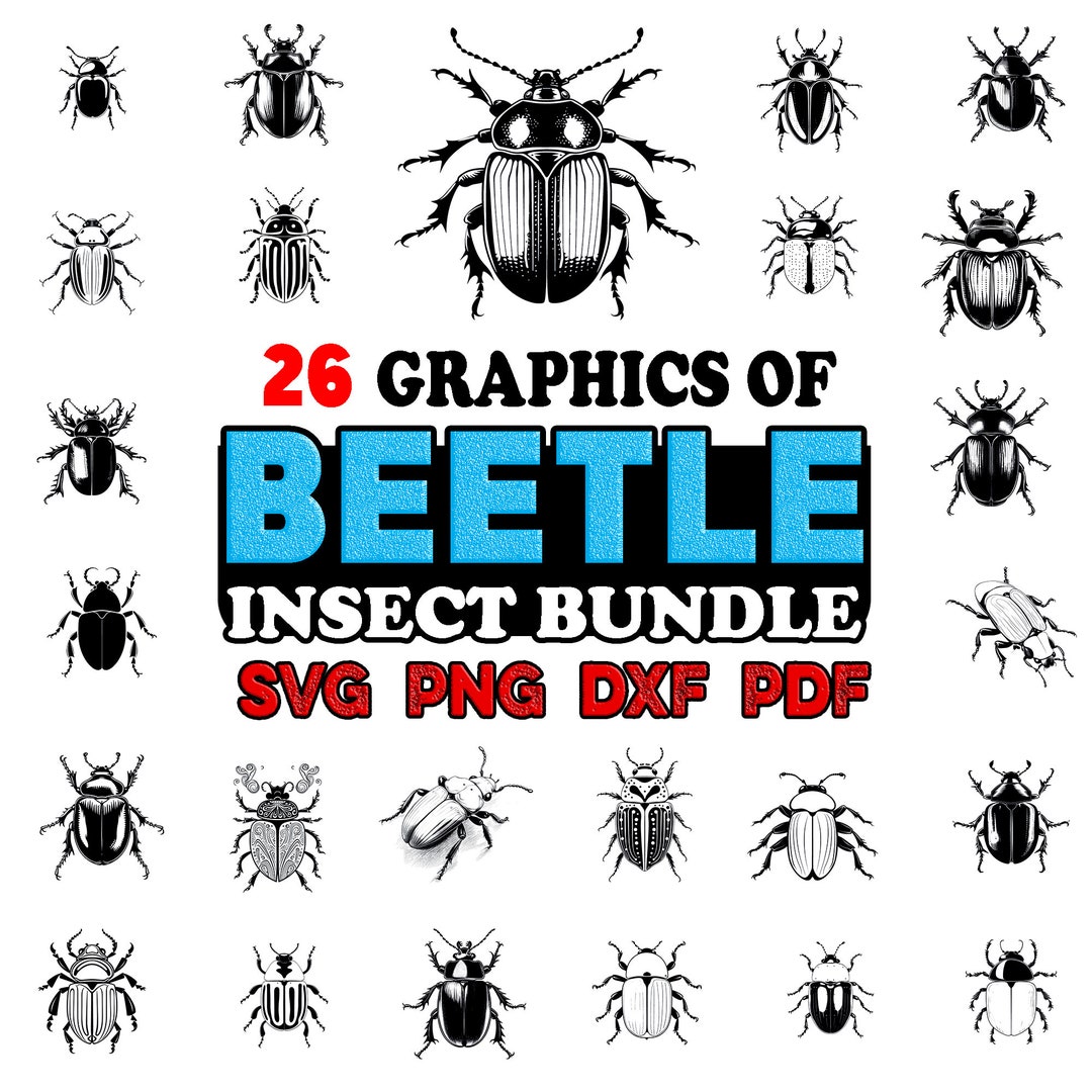 Beetle Insect Bundle SVG, Png, Dxf, Pdf Instant Digital Downloads - Etsy