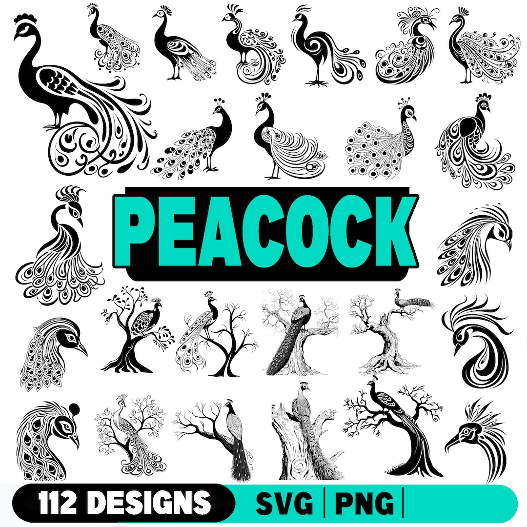 Peacock, Bundle SVG, PNG Instant Digital Downloads - Etsy