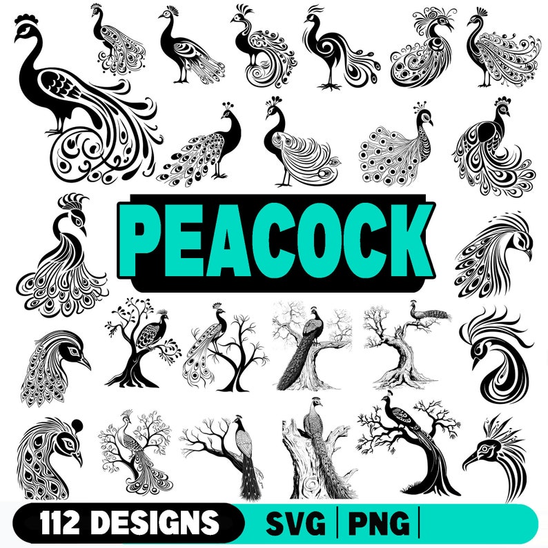 Pavo real, Paquete SVG, PNG descargas digitales instantáneas - Etsy México