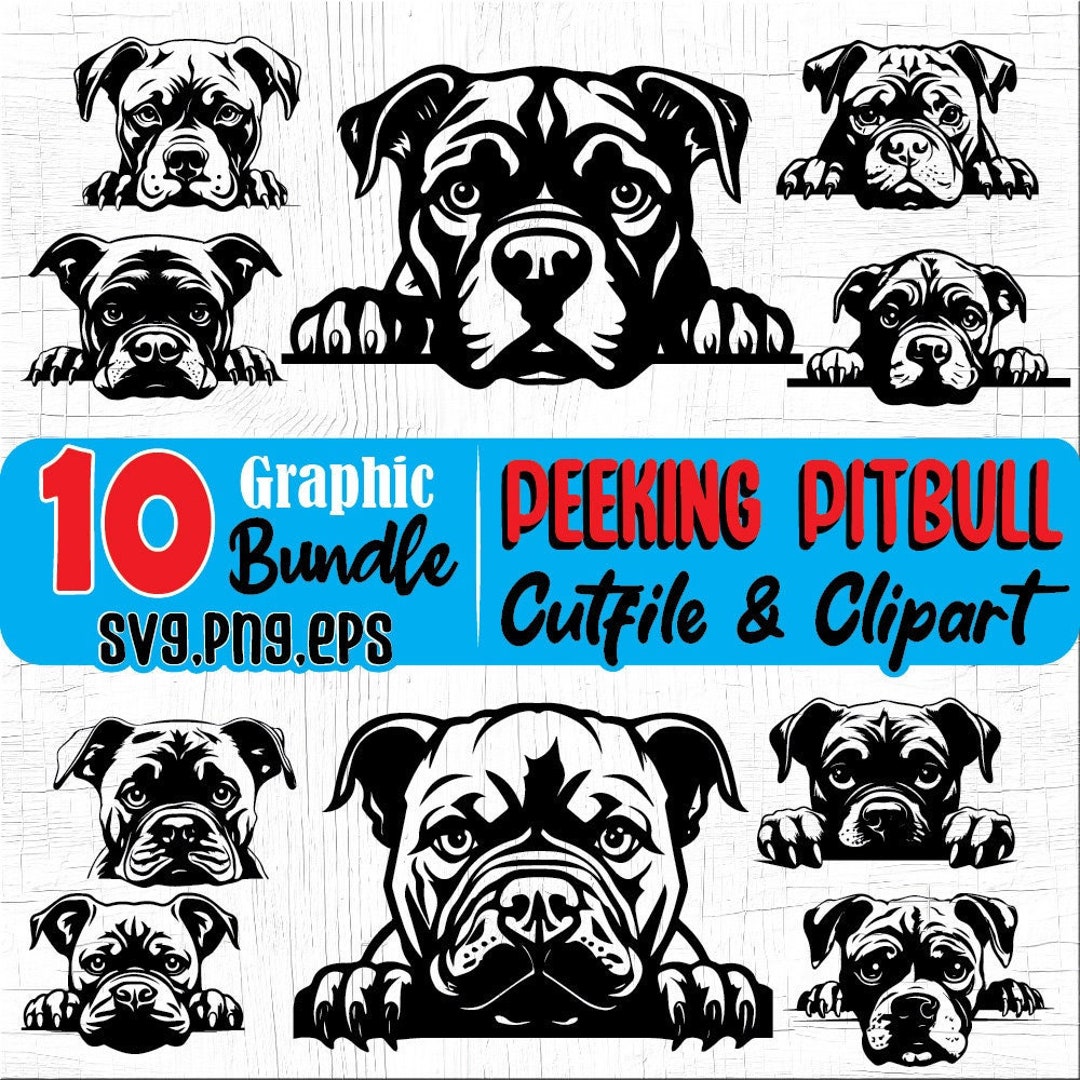 American Bully Dog SVG Files Peeking AMERICAN BULLY Graphic - Etsy