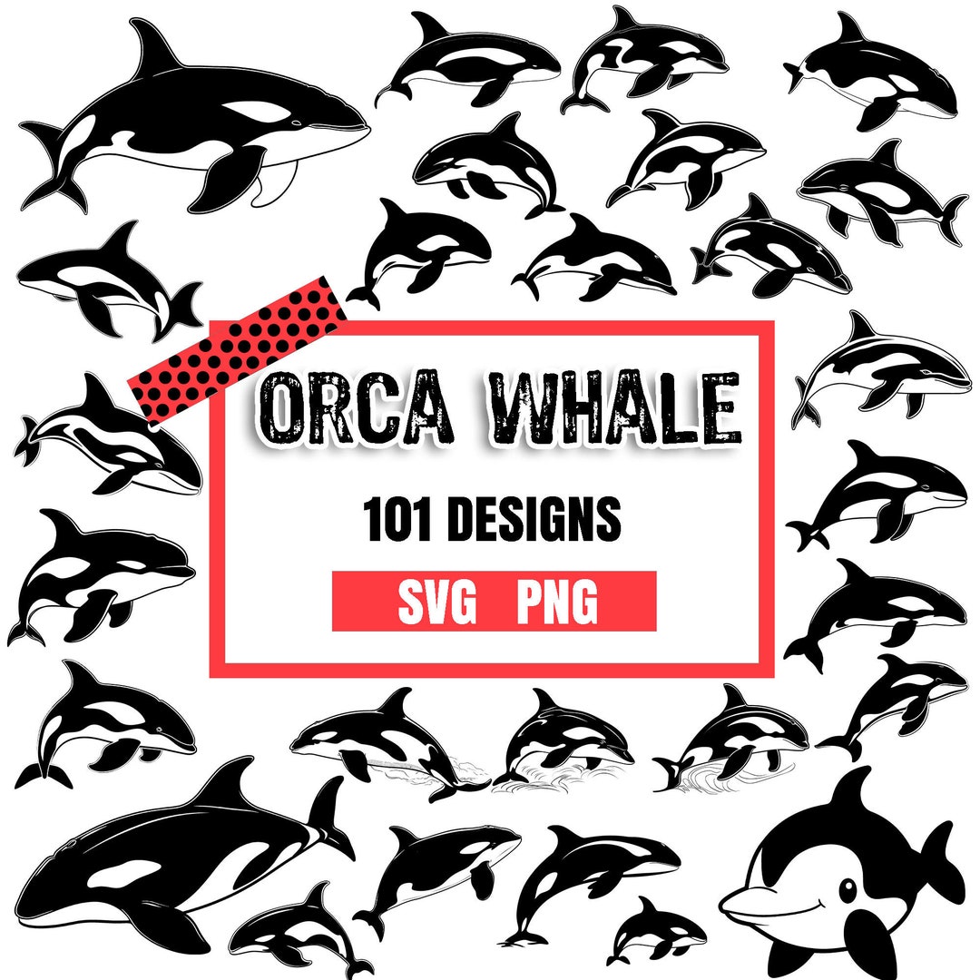 Orca Whale, Bundle SVG, PNG Instant Digital Downloads - Etsy