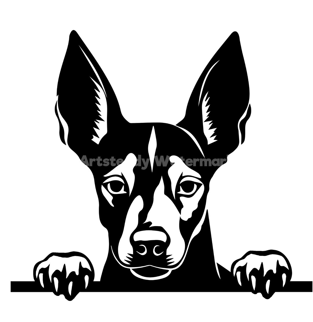 Xoloitzcuintli Peeking Dog SVG PNG DXF and Pdf Dog or - Etsy