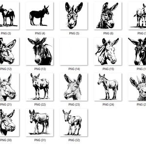 Mule Bundle SVG, Png, Dxf, Pdf - Instant Digital Downloads - Etsy