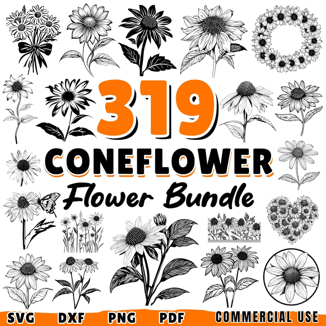 Coneflower Flower SVG Bundle | Echinacea Cut Files | Cricut Designs ...