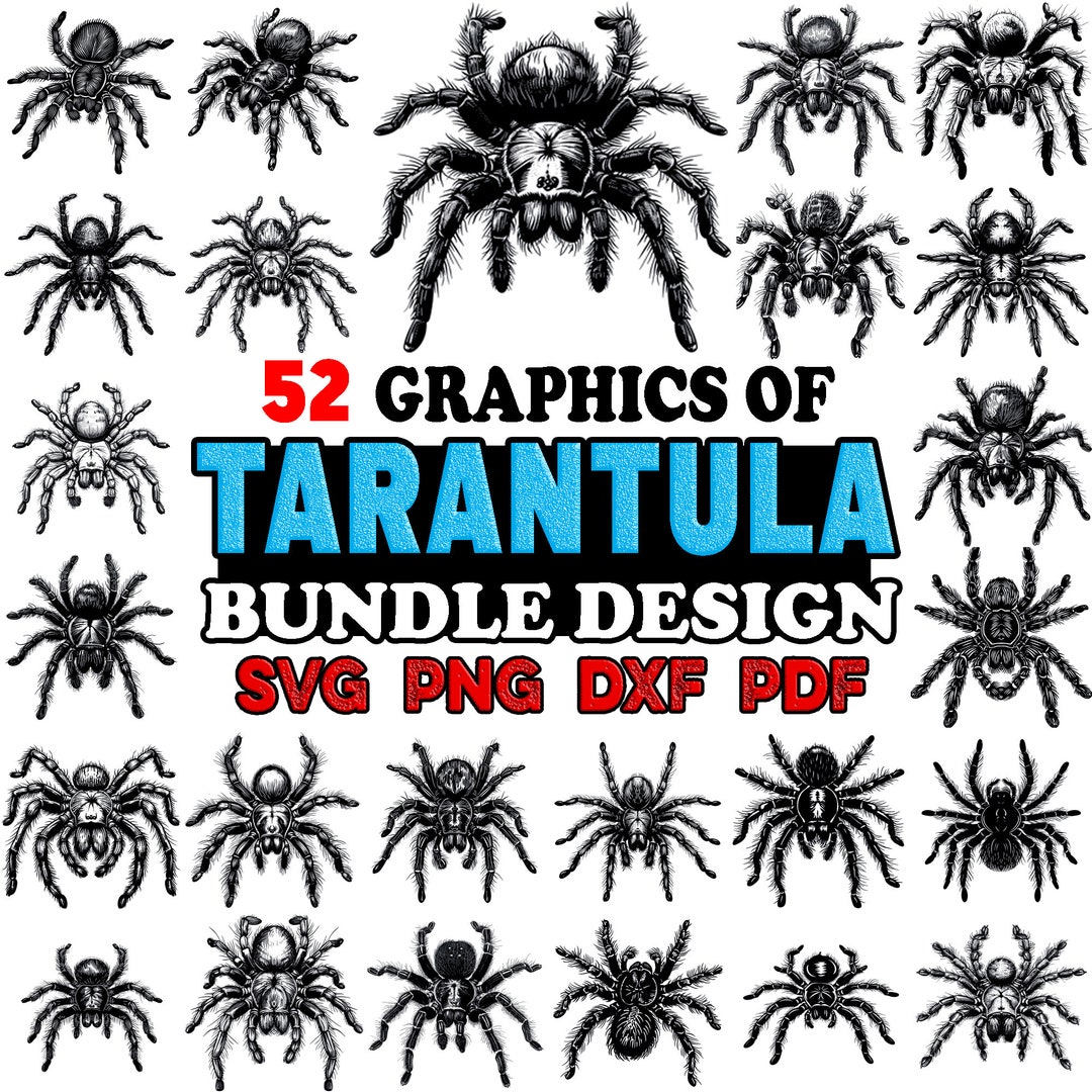 Tarantula Bundle SVG, Png, Dxf, Pdf - Instant Digital Downloads - Etsy