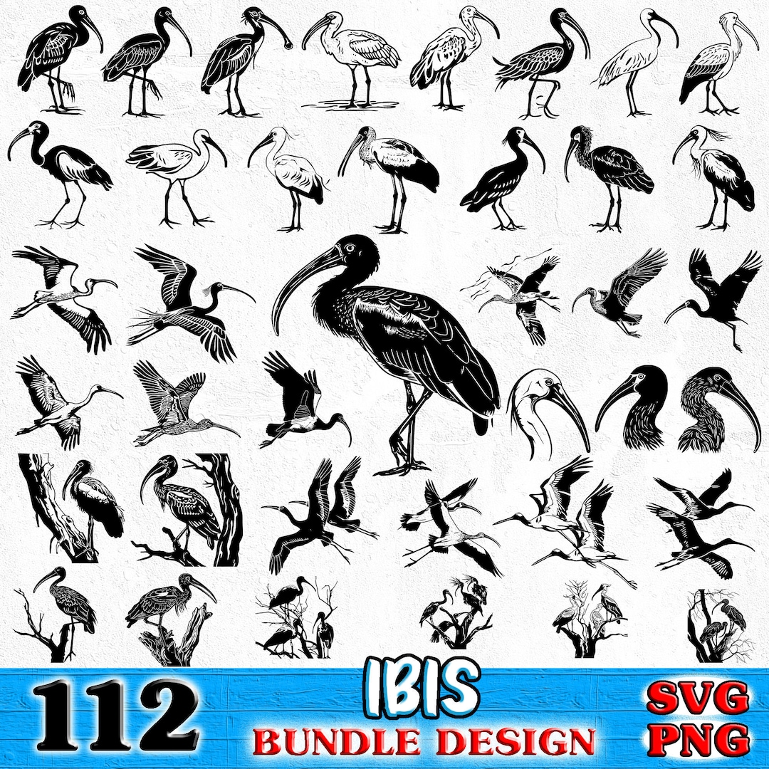 Ibis, Bundle SVG, PNG Instant Digital Downloads - Etsy