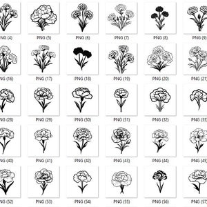 Carnation Flowers Bundle SVG, PNG Instant Digital Downloads - Etsy