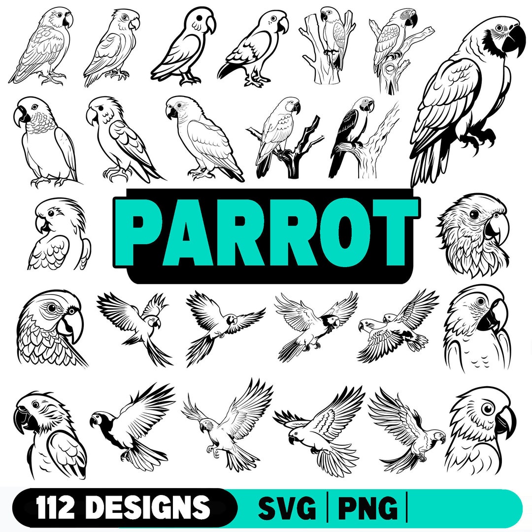 Parrot, Bundle SVG, PNG Instant Digital Downloads - Etsy