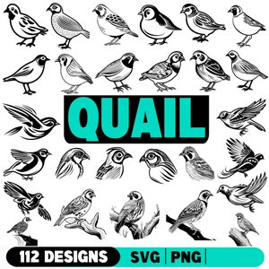 Quail Bundle SVG, PNG Svg Png Pdf & Dxf Bundle Instant Digital ...