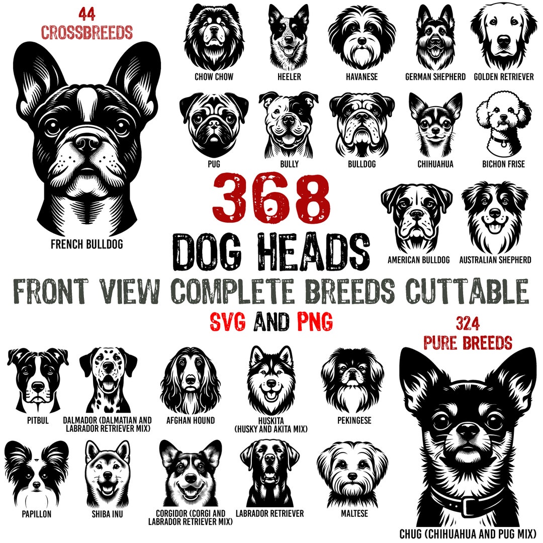 368 Dog Heads Front View Complete Breeds Cuttable SVG and PNG Bundle ...