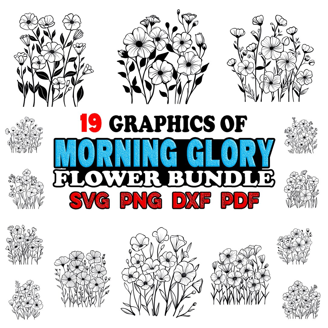 Morning Glory Bundle Svg, Png, Dxf, Pdf Instant Digital Downloads - Etsy