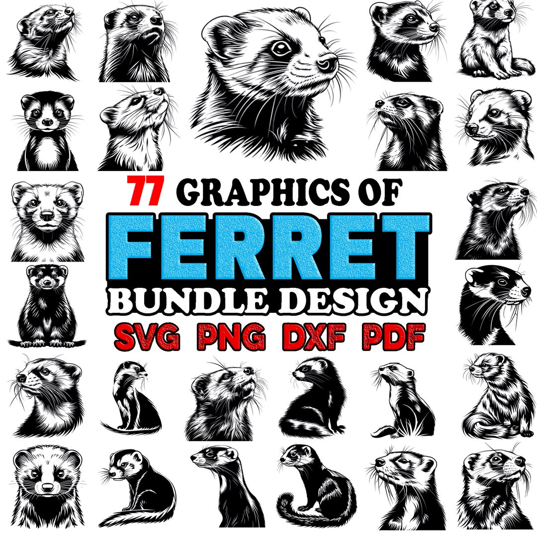 Ferret Bundle SVG, Png, Dxf, Pdf - Instant Digital Downloads - Etsy