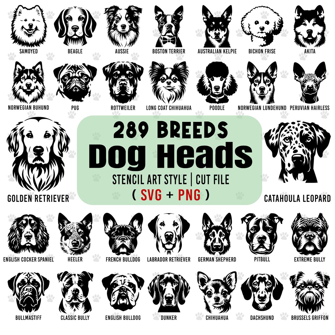 289 Breeds Dog Heads Stencil Art Style Cut File SVG & PNG Bundle ...