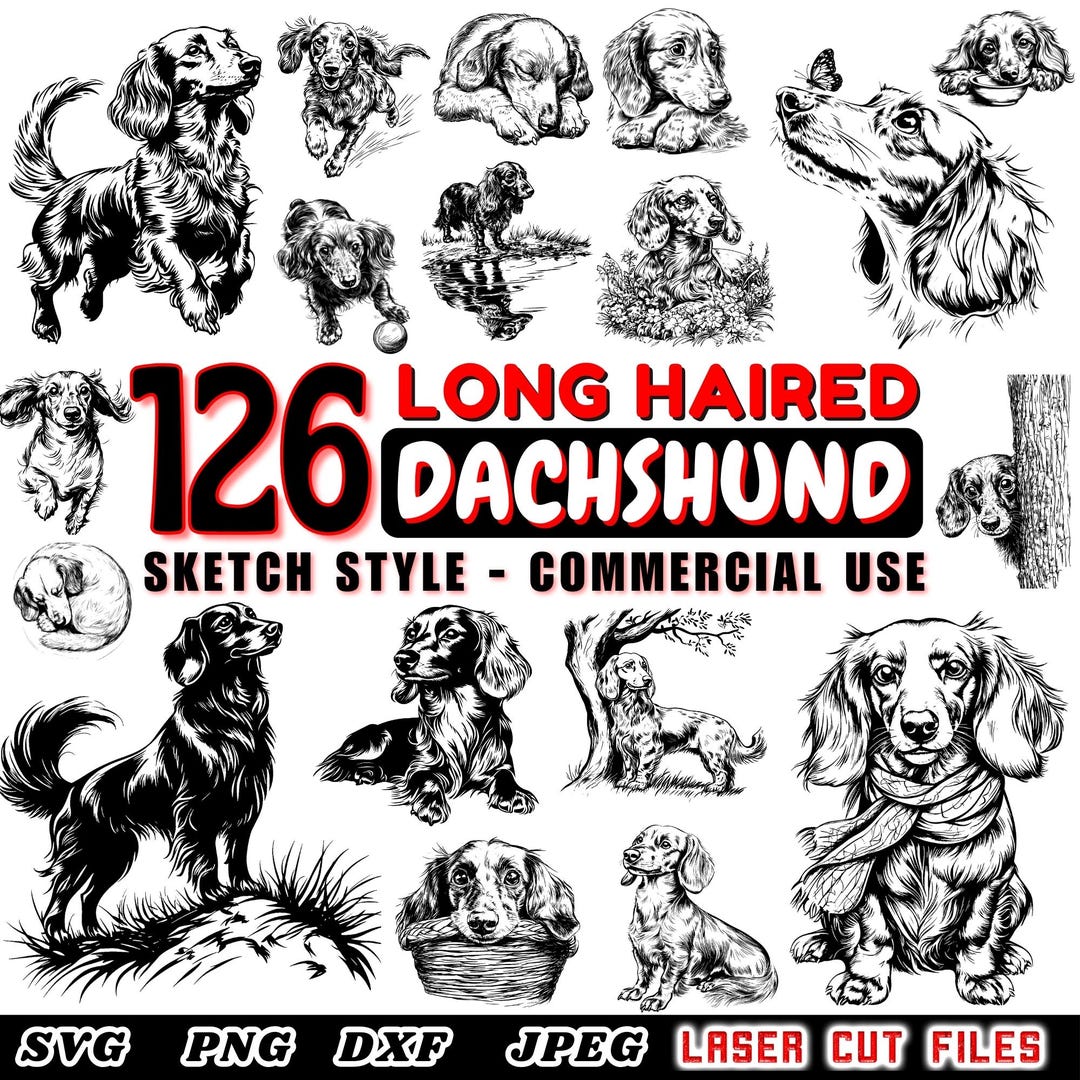 Long Haired Dachshund Laser Cut File | Dachshund Sketch SVG Bundle ...
