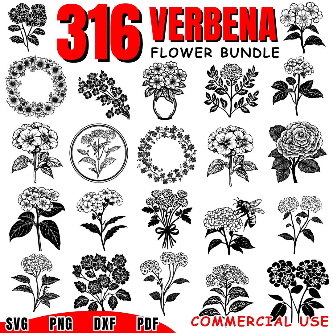Verbena Flower SVG Wildflower SVG Floral SVG Bundle Cricut Cut File Png ...