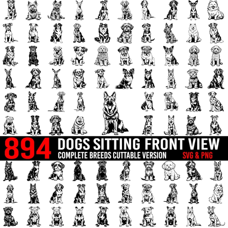 Dog Sketch Sitting - Etsy UK